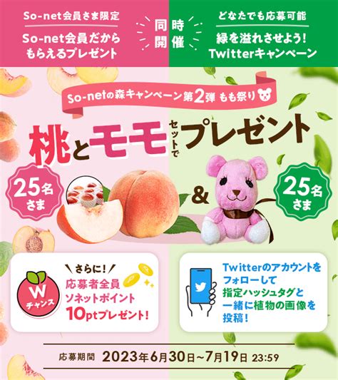 So net会員さま限定