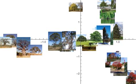 특징 추출을 사용한 데이터 집합의 시각화 Wolfram Language 11의 신기능