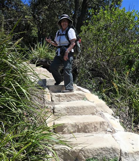 Maloneys Beach To North Head Beach Return Batemans Bay Bushwalkers Inc