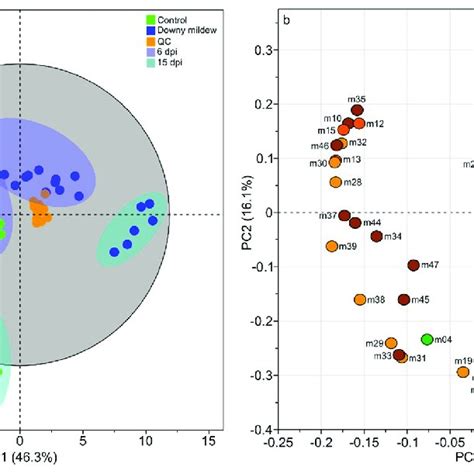 Unsupervised Classification Using Principal Component Analysis Pca On