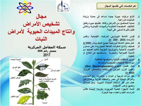 مجال تشخيص الأمراض وانتاج المبيدات الحيوية لأمراض النبات Ppt تنزيل