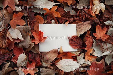 紅葉の絨毯の上に空白の紙がある背景画像。俯瞰、鳥瞰図。コピーまたはテキストスペース。ai生成画像のイラスト素材 260824231