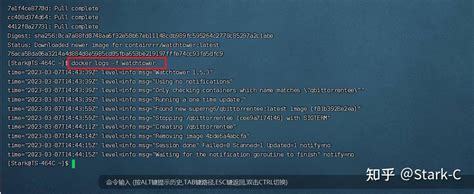 【抄作业】如何优雅的更新 Docker 容器？使用watchtower让docker容器实现自动更新 知乎