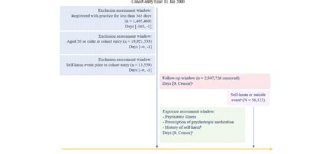 Graphical Representation Of Nested Case Control Study Design A