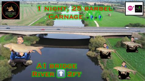 Barbel Fishing River Trent A1pits Rain At Last Youtube