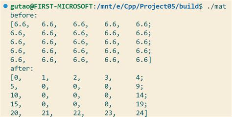Cs205 Cc Project05设计报告 矩阵类 Cuckoo