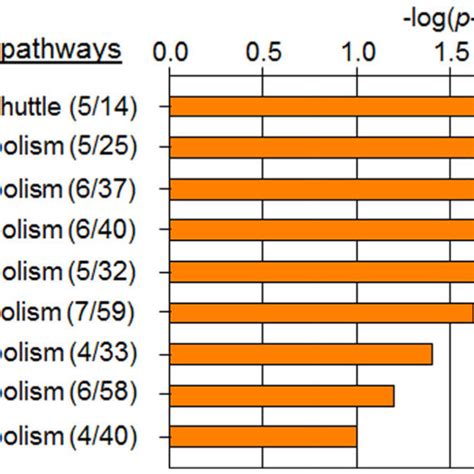 Pathway Enrichment Analysis Metabolic Pathways Exhibiting A Mummichog