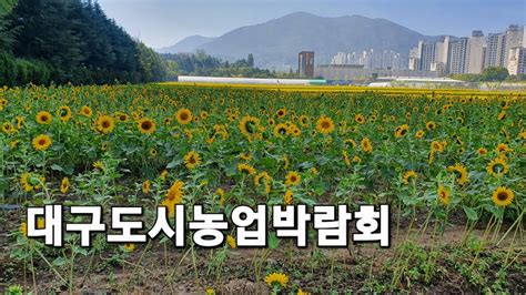 제10회 대구도시농업 박람회 다녀왔어요 Youtube