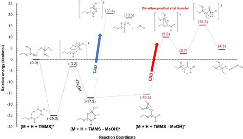 Potential Energy Surface Calculated At The M06‐2x 6‐311 G D P Level Download Scientific