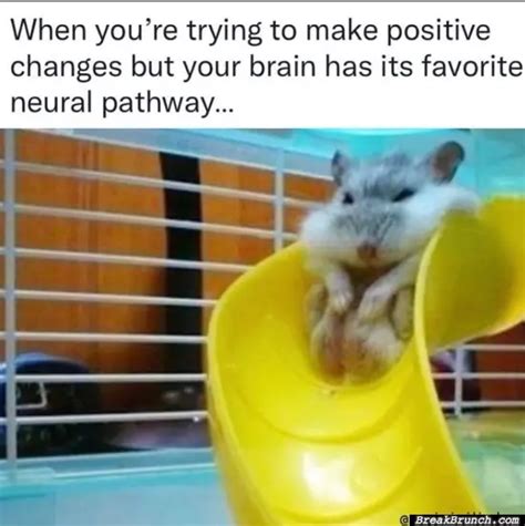 When I Want To Make Postive Change BreakBrunch