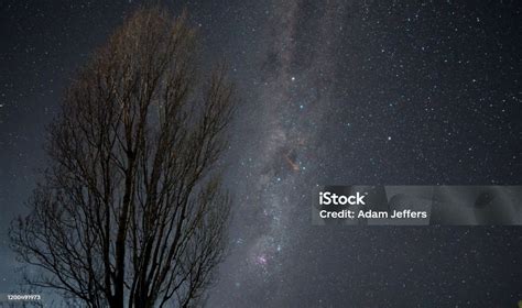 하늘에 불덩어리 유성 트레일과 잎이없는 나무 위에 아크 은하수 0명에 대한 스톡 사진 및 기타 이미지 0명 과학 나무 Istock