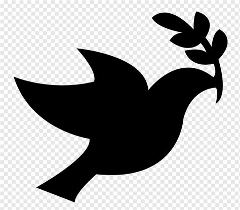 평화의 상징 평화의 상징으로 비둘기 비둘기 기타 잎 분기 Png Pngwing
