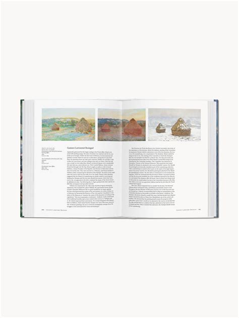 Ilustrovaná Kniha Monet Triumph Of Impressionism Westwing