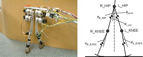 Figure 1 From A Framework For Learning Biped Locomotion With Dynamical Movement Primitives