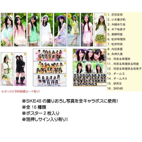 食玩王国オフィシャルウェブサイト Ske48キャラポスコレクション