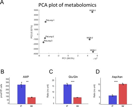 Figures And Data In Multi Omic Analysis Of Bat Versus Human Fibroblasts Reveals Altered Central