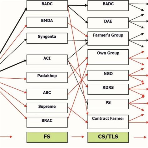 Seed Flows Through Seed Network At Farmers Level Download Scientific