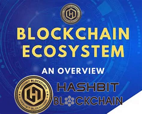 Hbit Blockchain Ecosystem An Overview Of The Current Hbit By