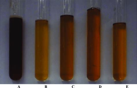 Color And Botanical Source According Beekeepers About The Samples Used
