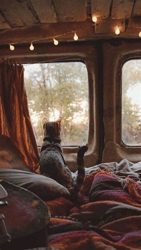 Van Life Van Life Van Living Van Life Aesthetic