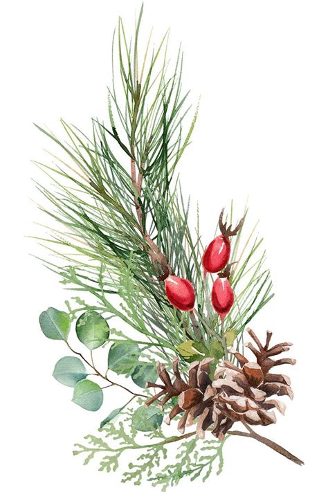 Christmas Clipart Рождественский клипарт Png Рождественские