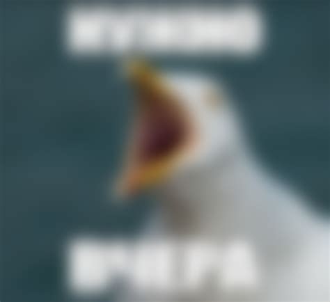 Очень жизненно и поэтому понравилось так что решил оставить на память Чайка менеджмент стиль