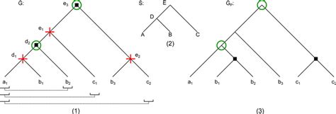GOC Procedure 1 A Gene Tree G Reconciled With Species Tree S