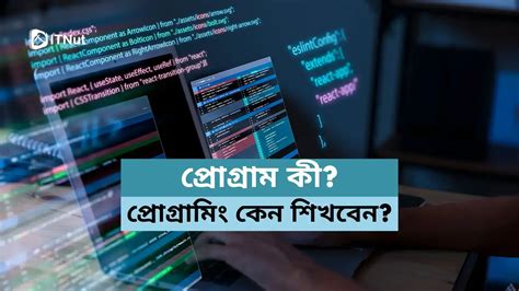 প্রোগ্রাম কী প্রোগ্রামিং কেন শিখবেন It Nut Hosting