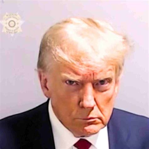 Donald Trump Meme Generator Create Laughs For Maga And Dems