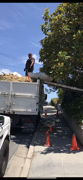 Yard Maintenance Belmont Ca Asg Complete Landscape