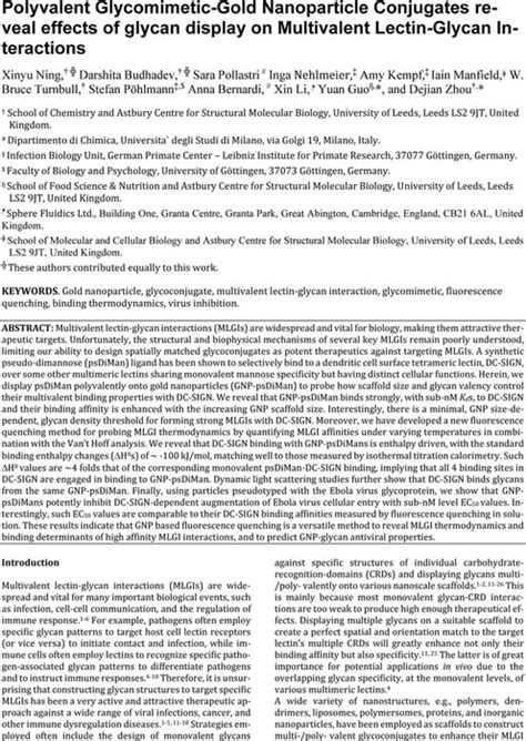 Polyvalent Glycomimetic Gold Nanoparticle Conjugates Reveal Effects Of