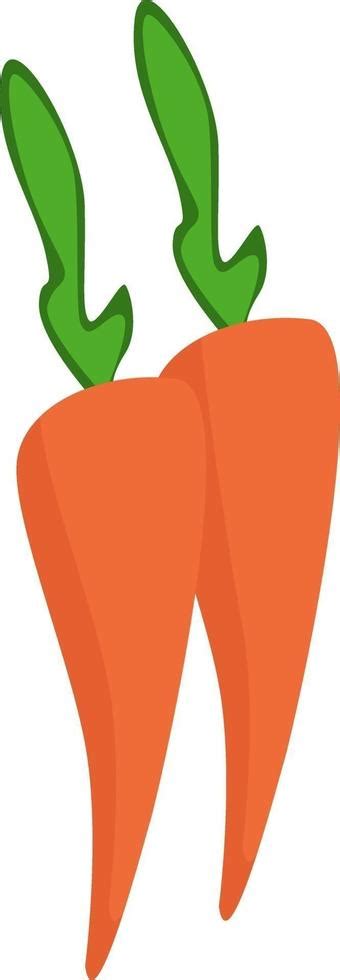 Two Carrots Illustration Vector On White Background 12268253 Vector
