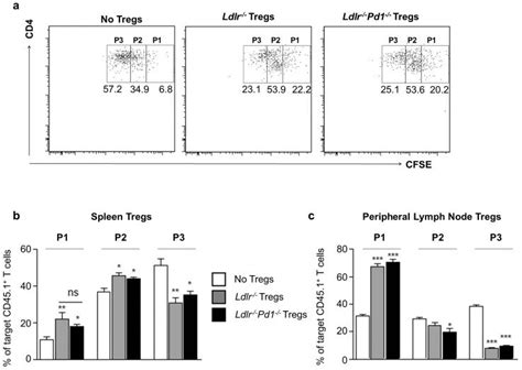 Target naïve CD T cells were mixed with Ldlr or Ldlr Pd Download Scientific Diagram