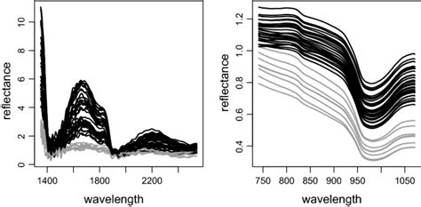 Bayesian Flexible Beta Regression Model With Functional Covariate