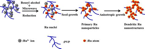 Schematic Illustration Of The Formation And Morphology Evolution Of Download Scientific Diagram