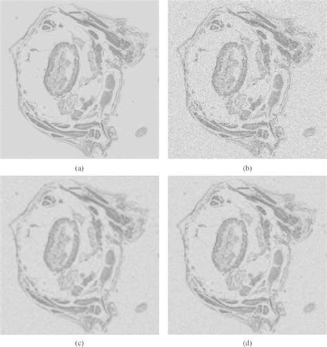 Comparison Of The Difference And Interpolation Wavelet Methods A