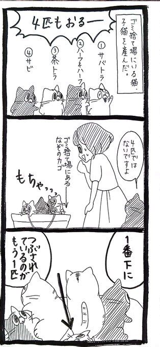 ﾈｺﾁｬﾝとの出会い16 うさぎのみみちゃん さんのマンガ ツイコミ仮