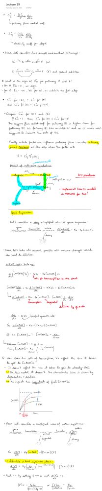 Lecture 19