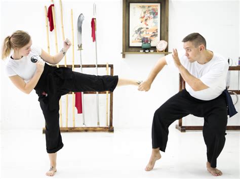 Syksyn 2024 Alkeiskurssi Fall 2024 Beginners Course Tai Shin Mun