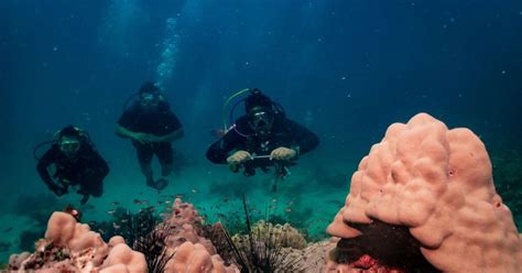 ខេត្តព្រះសីហនុ កំពុងសិក្សាគម្រោងបង្កើតសារមន្ទីរសង្គ្រាមក្រោមបាតសមុទ្រ ដើម្បីទាក់ទាញទេសចរ