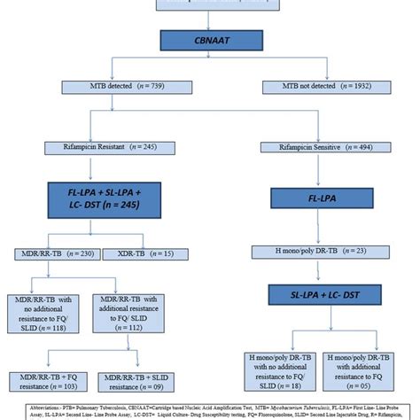 Flowchart Drug Resistant Tb Diagnosis Download Scientific Diagram