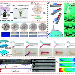 Applications Of The SDWT A Flog Collection On A Snowflake Like