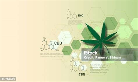 분자 구조 의학 화학 공식 대마초 공식 Cbd 벡터 일러스트 레이 션 칸나비디올에 대한 스톡 벡터 아트 및 기타 이미지 칸