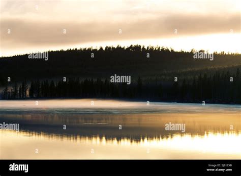 Water Surface Ground Level Fog Over The Lake Ice And Coniferous