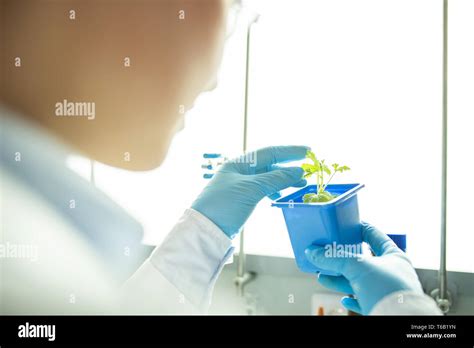 Experimenting Experiment Hi Res Stock Photography And Images Alamy