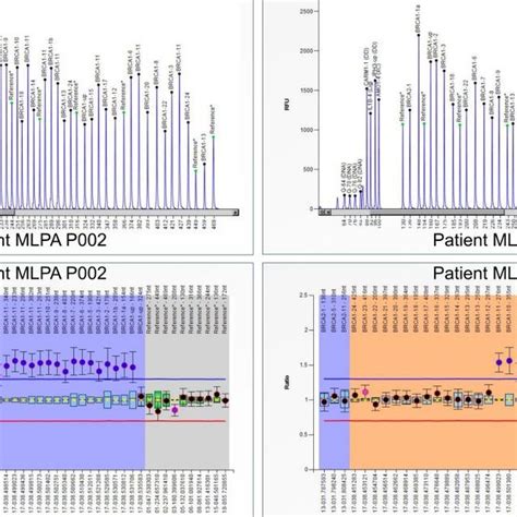 Ngs Analysis Of Spatial Heterogeneity In Gc Heatmap Of Dna Mutations