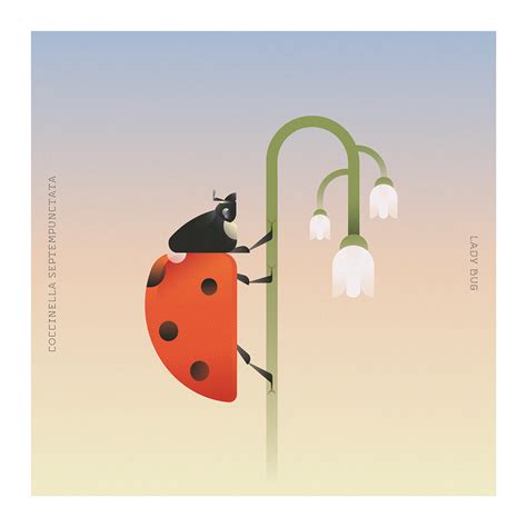 The Insect World Collection Behance