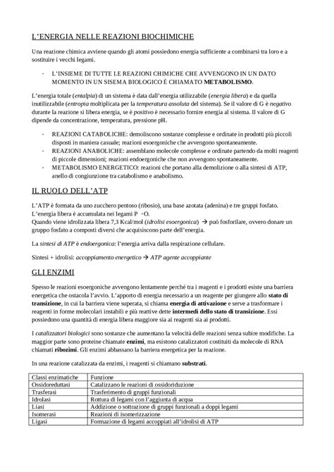 Riassunto Di Biochimica E Biotecnologie Schemi E Mappe Concettuali Di