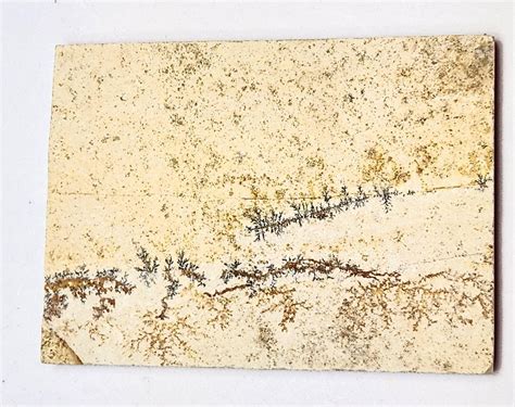 Manganese And Iron Oxide Dendrites From Solnhofen Germany Specimen