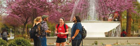Csuf Portal Guide Csufportalguide S Diary
